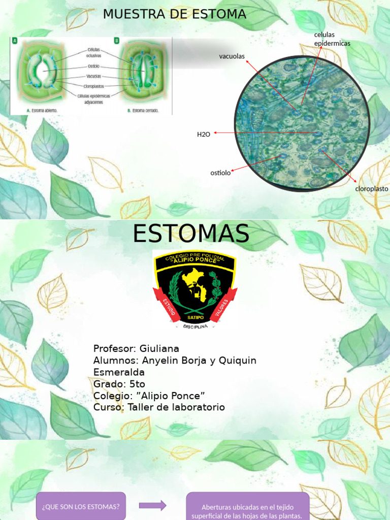 Anyelin y Quiquin | PDF