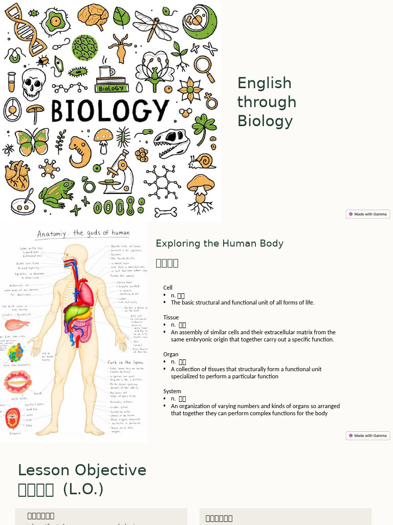 English Through Biology | PDF | Human Body | Anatomy