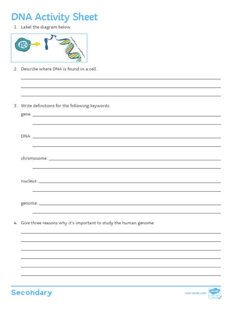 Inheritance Variation and Evolution Lesson 2 DNA Activity Sheet | PDF