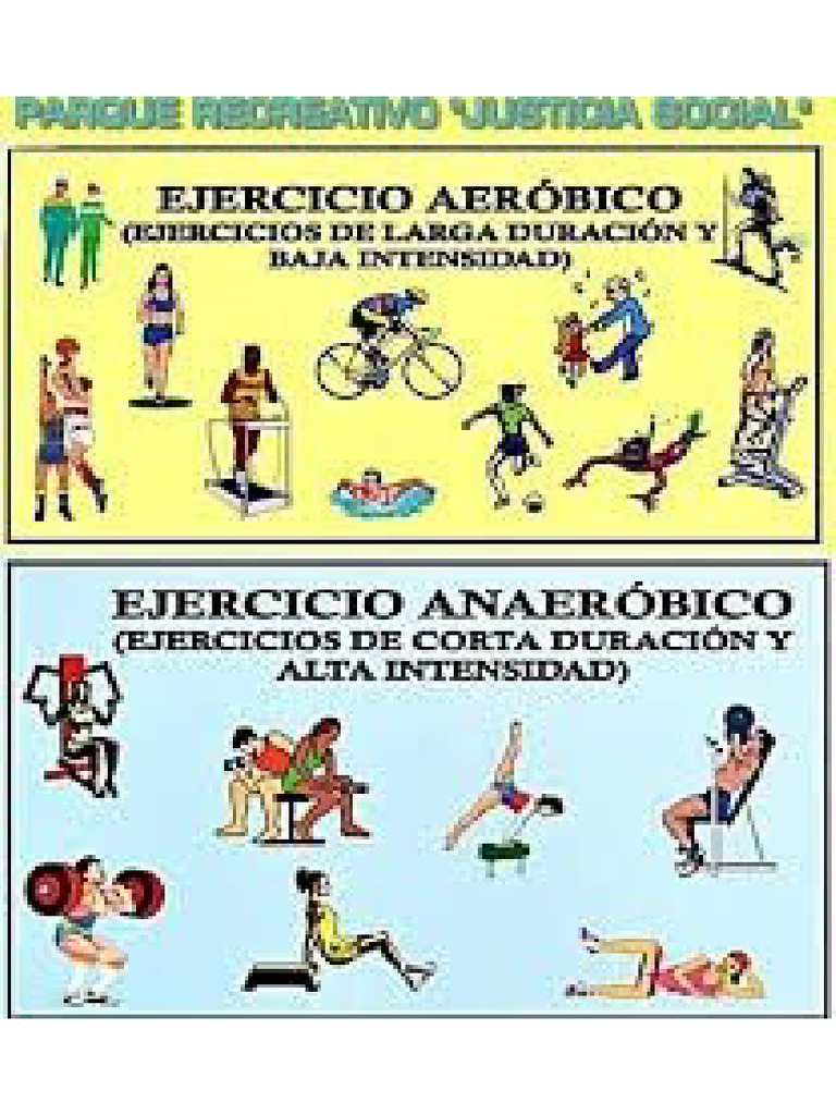 Ejercicio Aeróbico Vs Anaeróbico | PDF