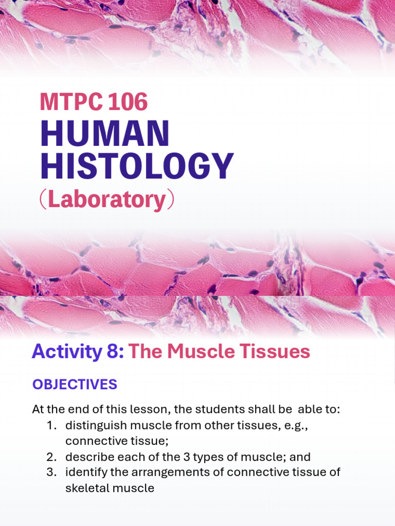 MTPC 106.17.00 - Human Histology Laboratory - Activity 8 - Muscle ...