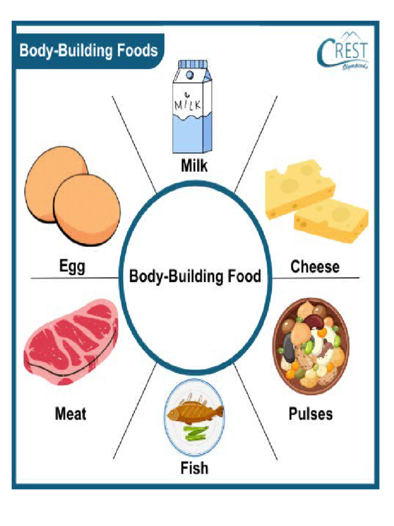 Body Building Food | PDF