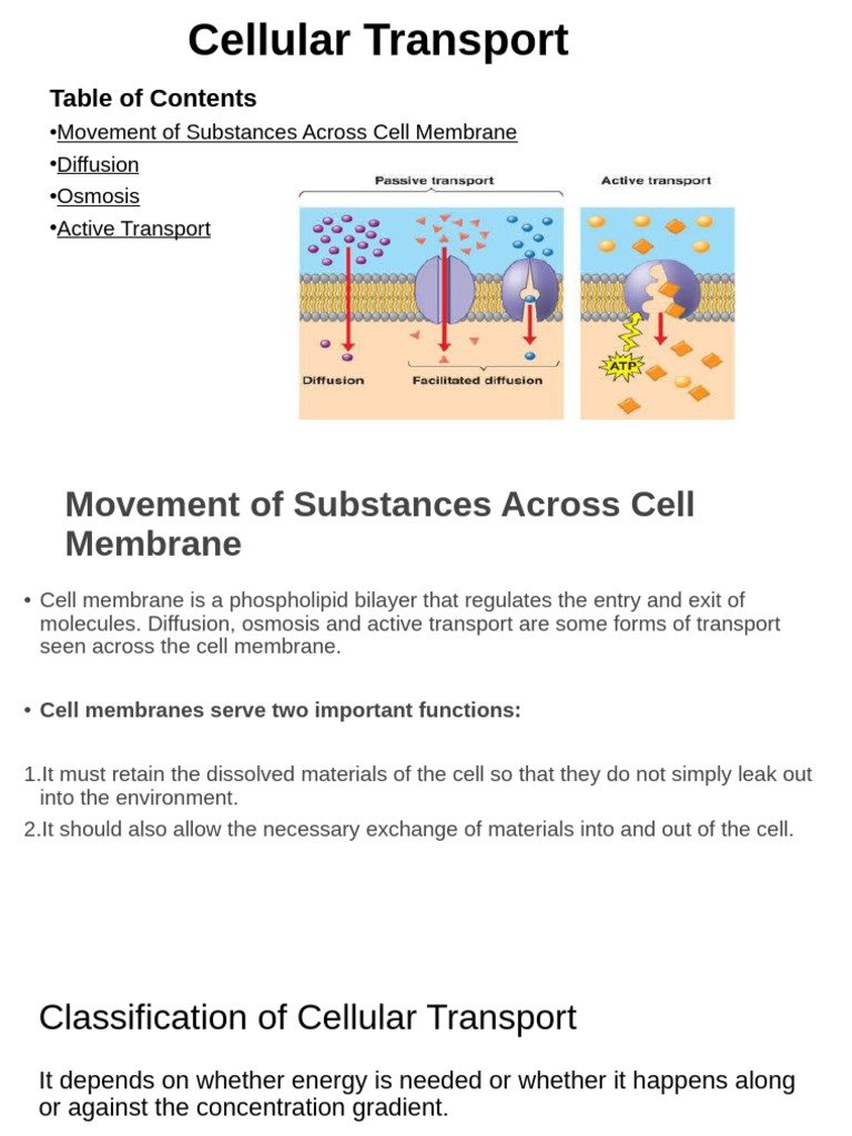 Overview of Cellular Transport Mechanisms | PDF