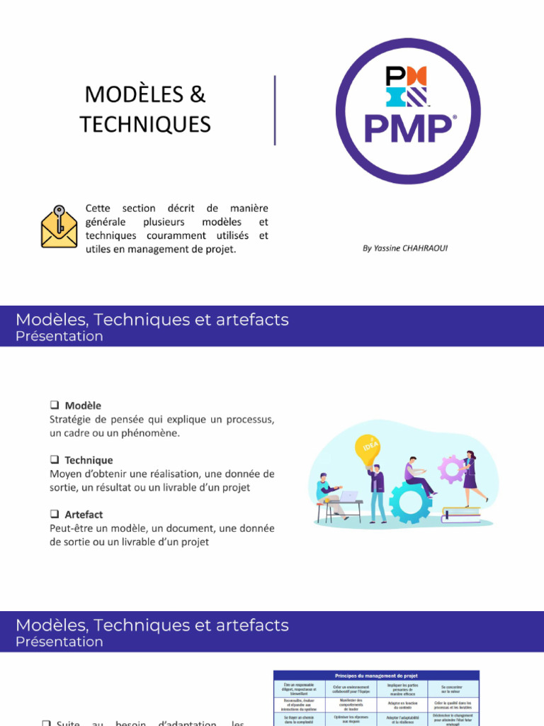 PMP V7 Mod Les Et Techniques 1742129238 | PDF