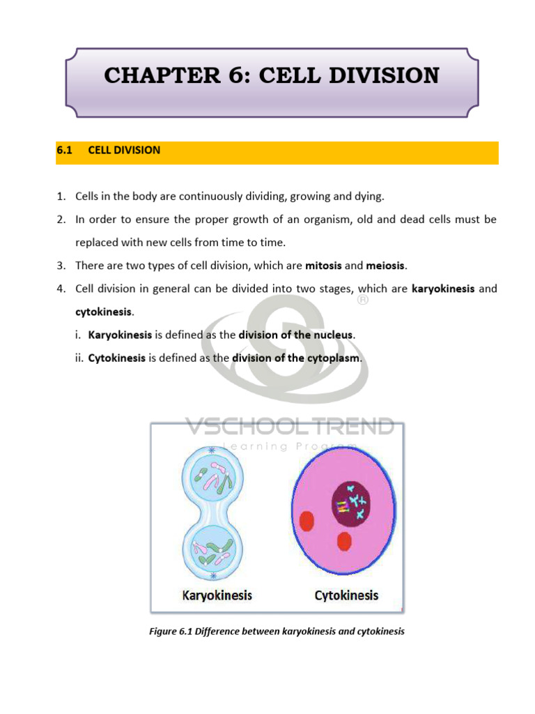 9ca09-1.-f4---bio---bi-version---chapter-6-(revision)-after-correction_compressed | PDF ...
