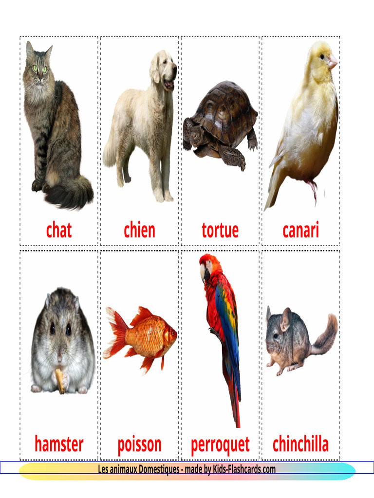 Free French Domestic Animal Flashcards | PDF