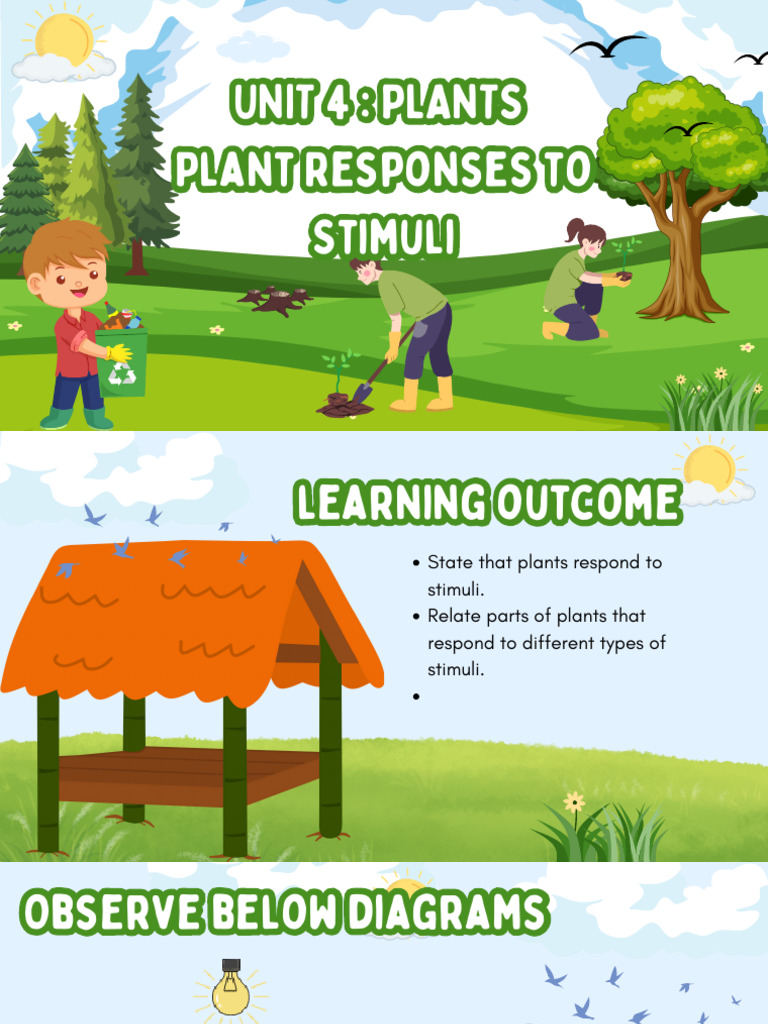 UNIT 4 PLANTS Plant Responses To Stimuli | PDF