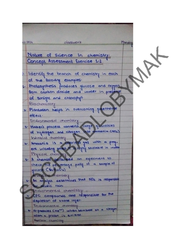 Chapter 1 Watermark | PDF