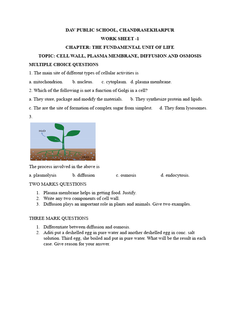 The Fundamental Unit of Life (Work Sheet-1) | PDF