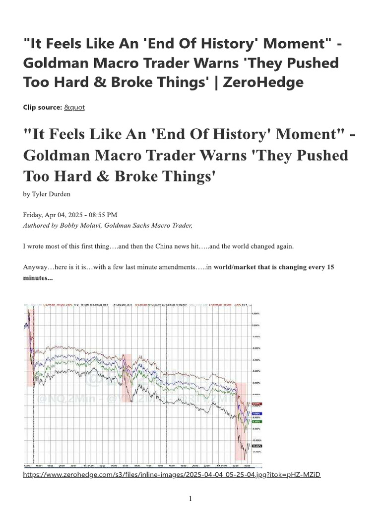 Goldman Macro Trader Warns 'They Pushed Too Hard & Broke Things' | PDF