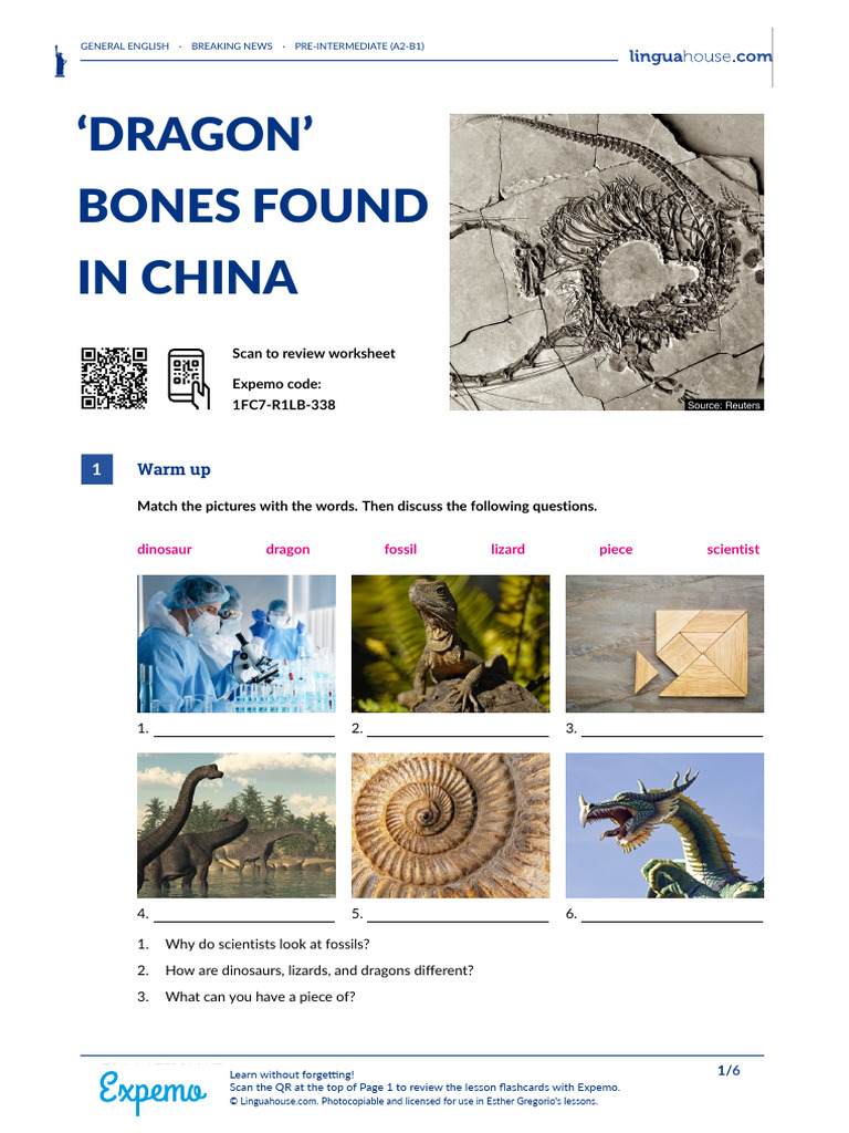 Dragon Bones Discovery in China | PDF | Dinosaurs | Reptile