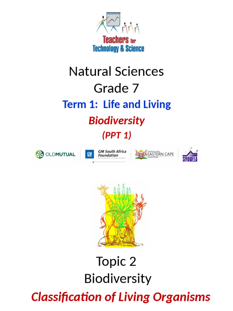 Clasification Animal and Variation Grade 7 Comabin | PDF | Taxonomy ...