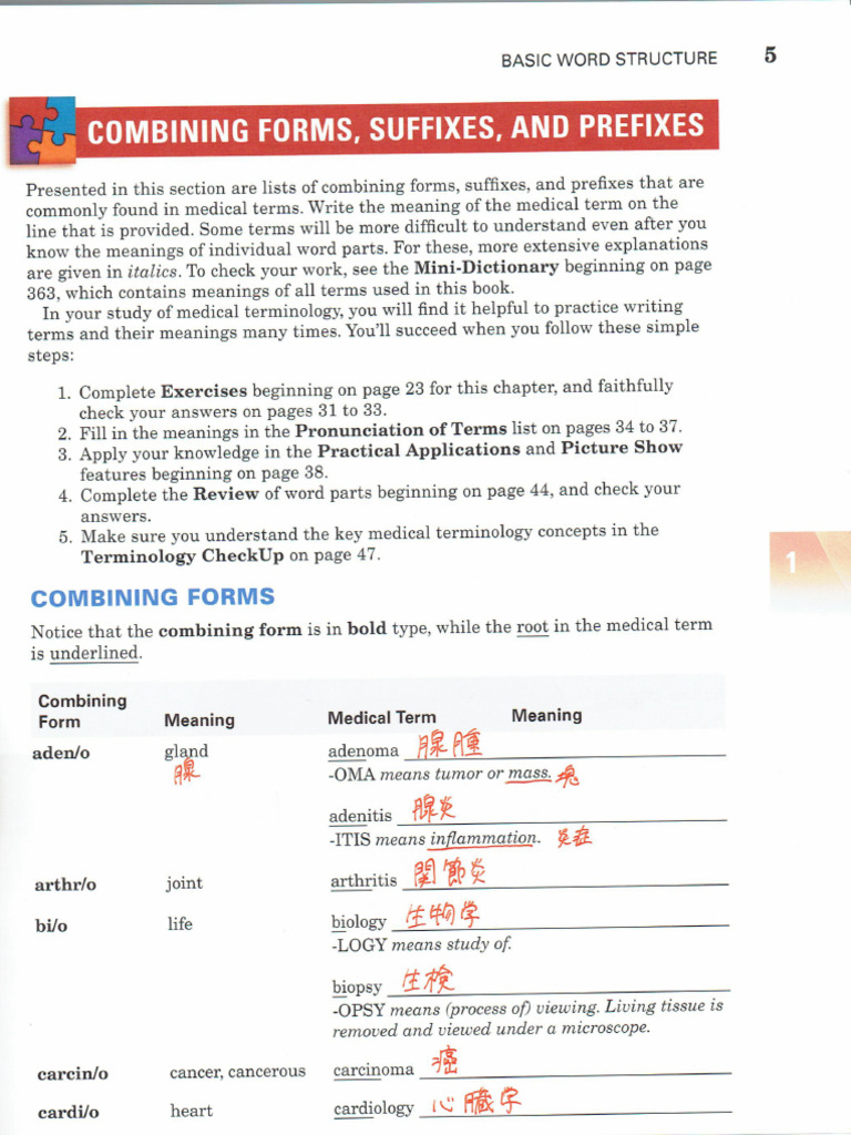 Medical Terminology 2 | PDF