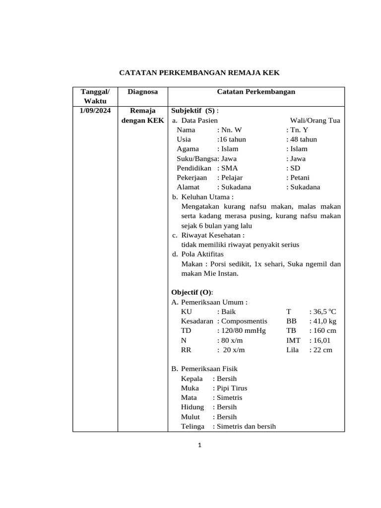 CATATAN PERKEMBANGAN REMAJA KEK Edit | PDF