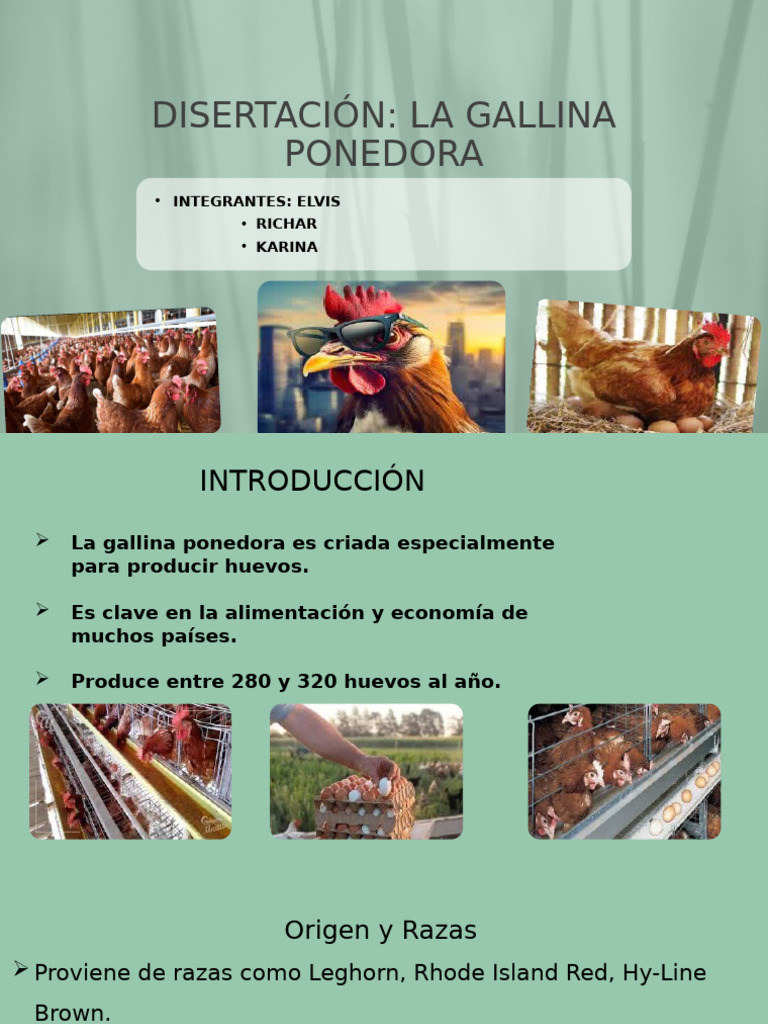 DISERTACIÓN Lunes Bla Bla | PDF