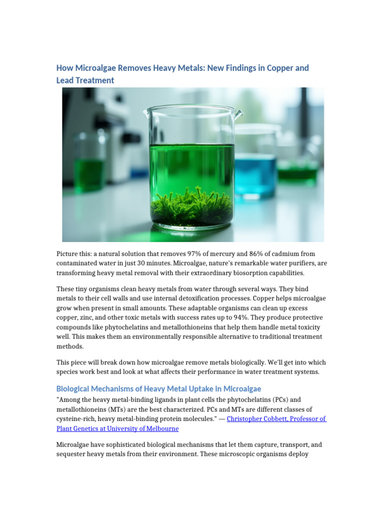 how_microalgae_removes_heavy_metals__new_findings_in_copper_and_lead ...