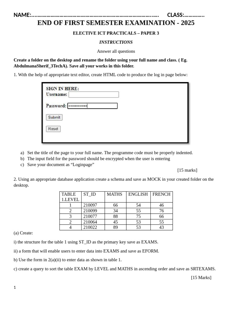Elective ICT Practical Exam 2025 | PDF | Spreadsheet | Information ...