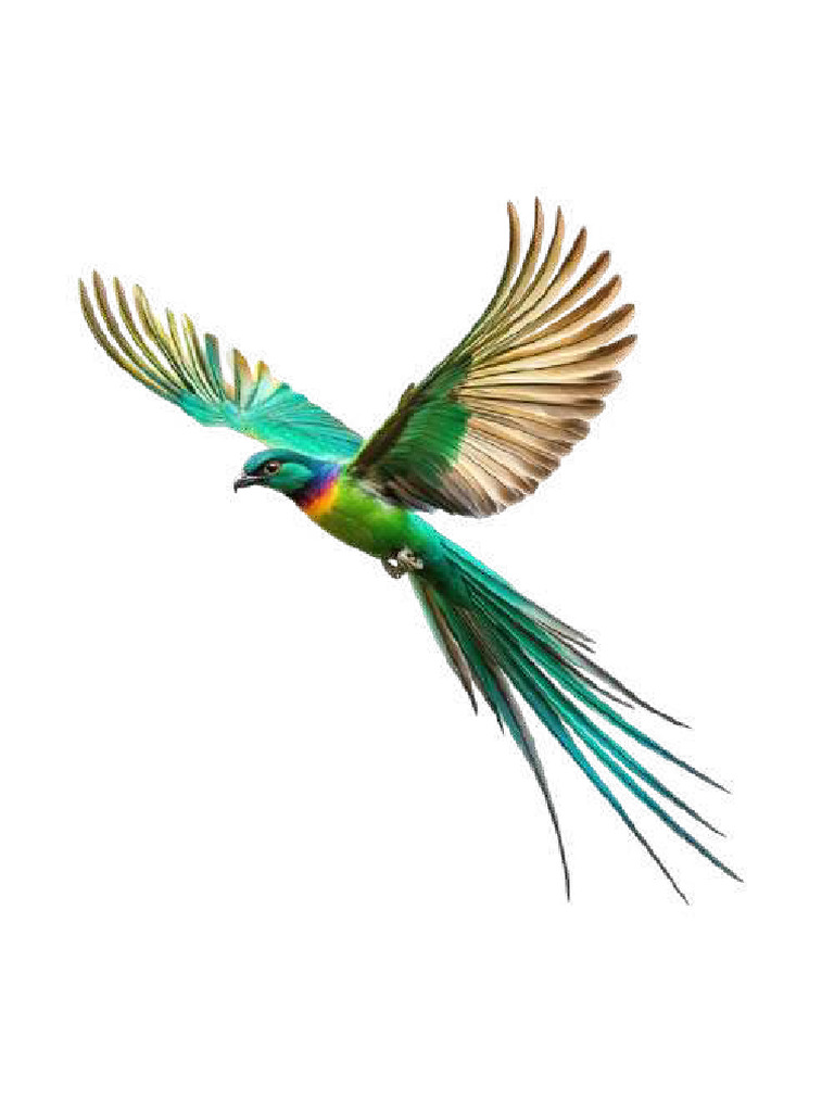 b48f69db-0a38-4e69-a0b0-24bfd6517cc4-removebg-preview | PDF