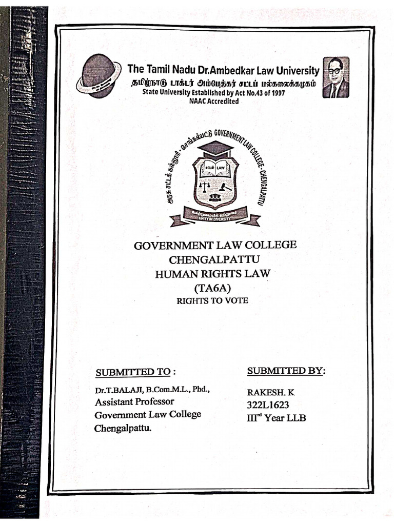 Human Rights Assignment | PDF