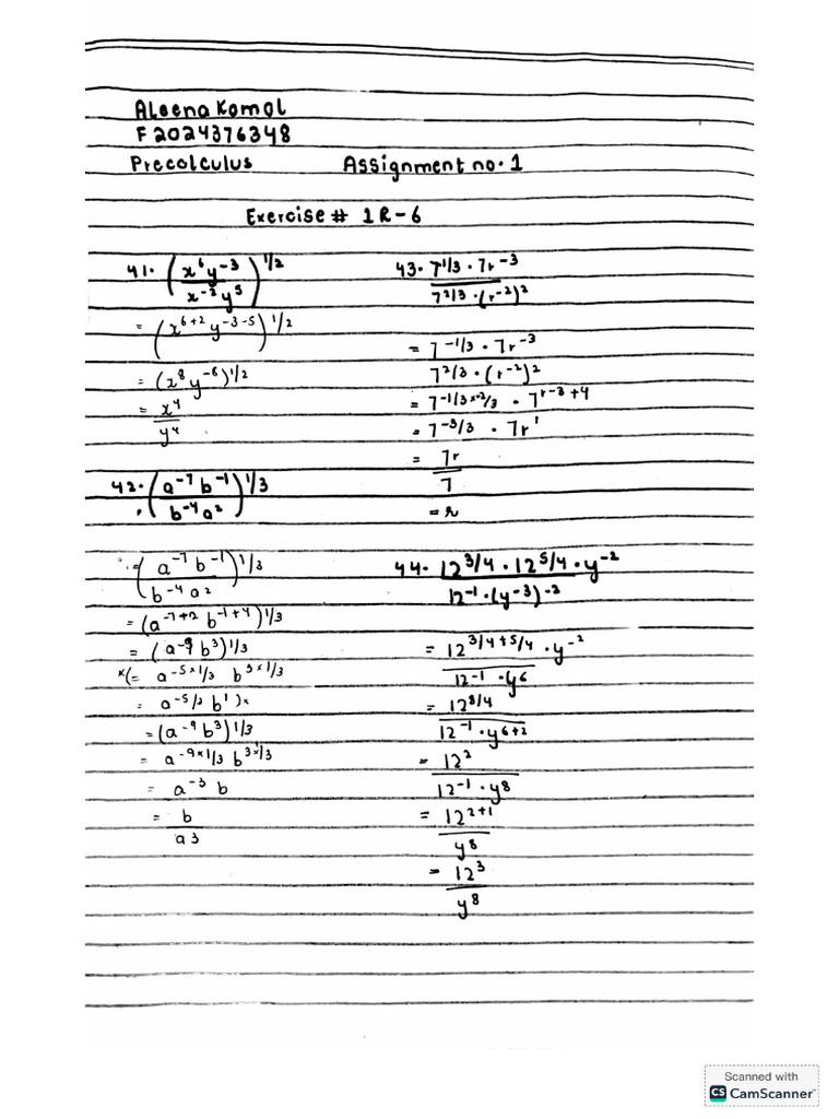 Precalculus Assignment 1 | PDF