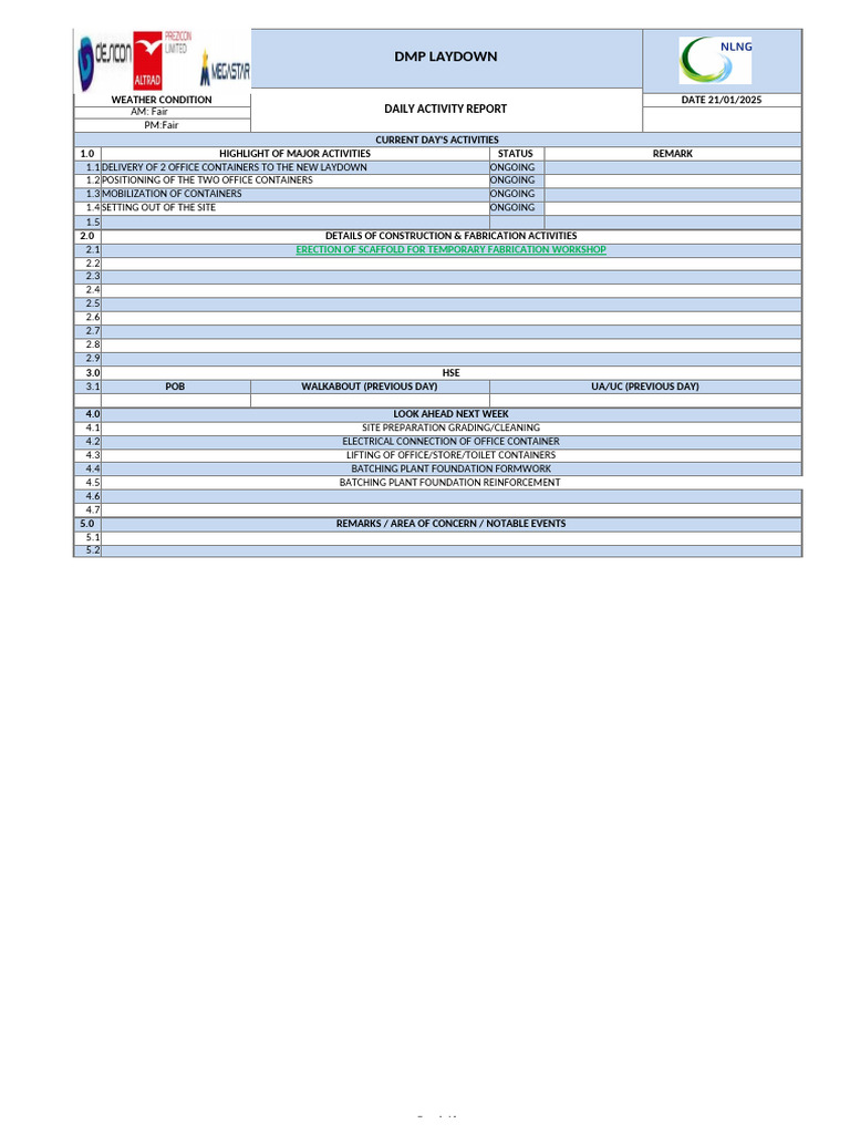 Copy of Laydown Daily Activity Report | PDF