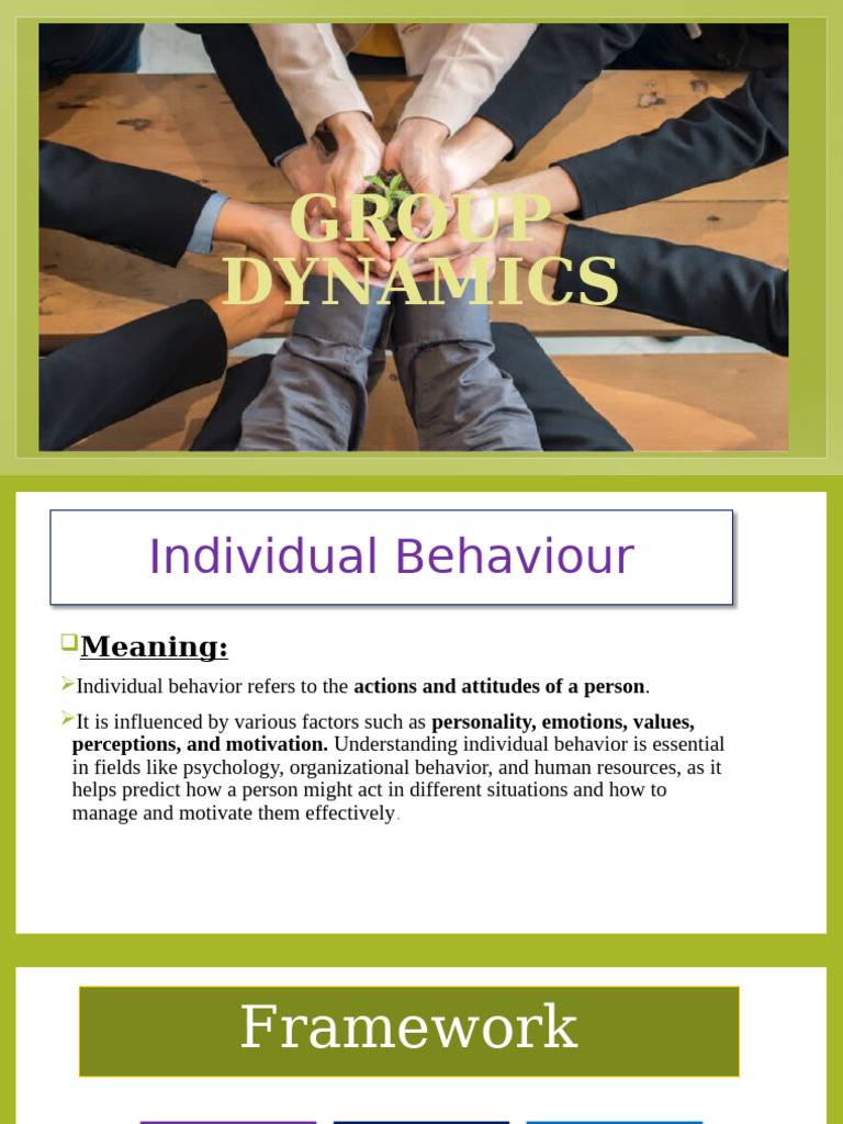 Group Dynamics Theory | PDF | Group Cohesiveness | Behavior