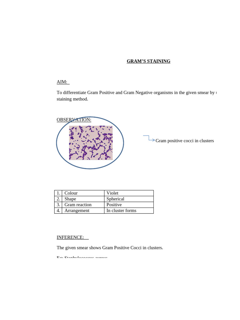 Gram's Staining - For Writing in Practical Exam | PDF