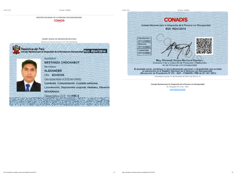 Carnet Digital de CONADIS Perú | PDF