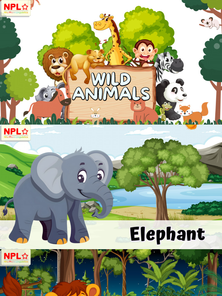 Wild Animals | PDF