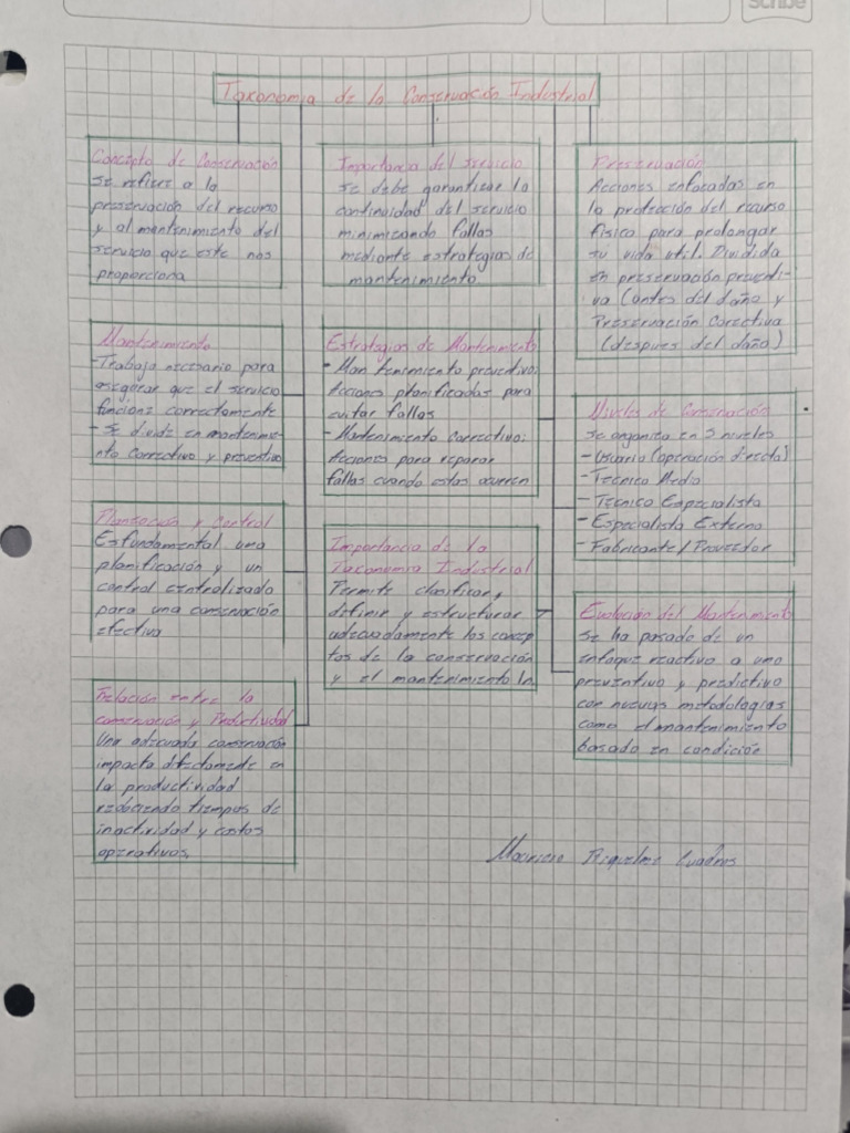 Organizador de Información | PDF