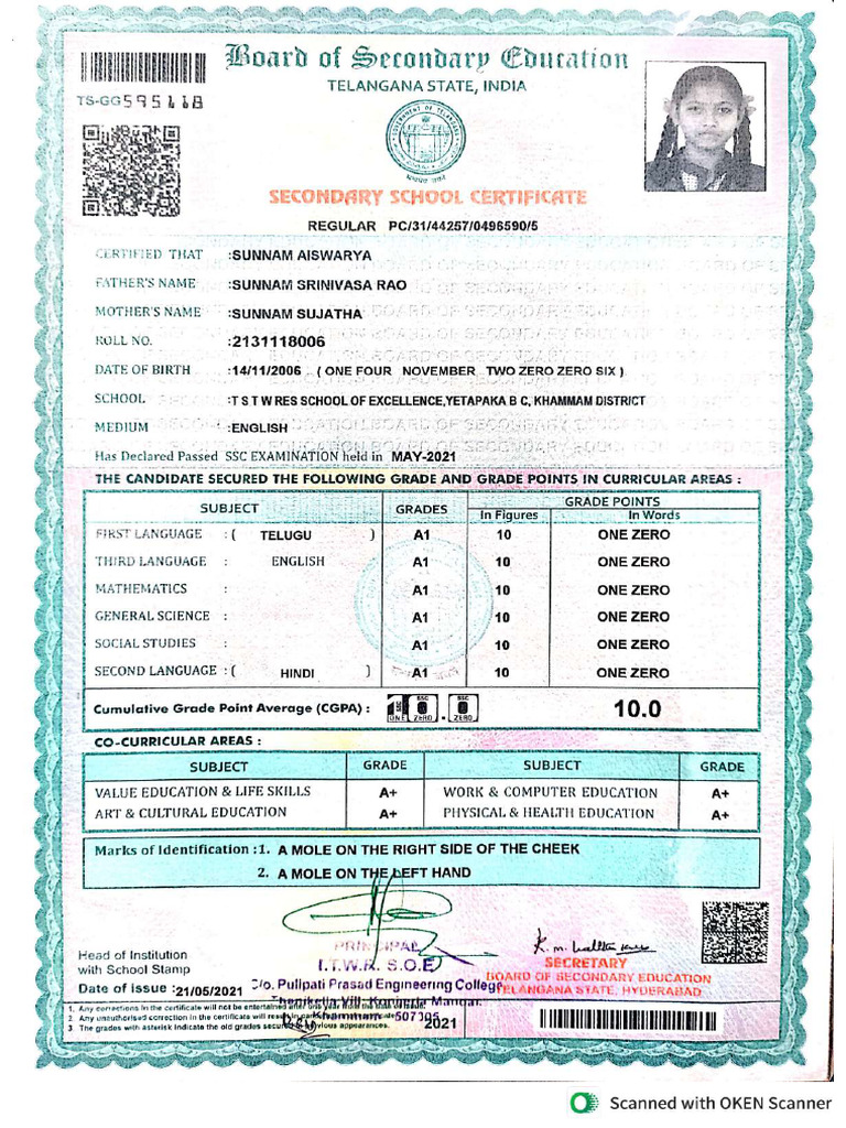Ice SSC Memo - Compressed | PDF