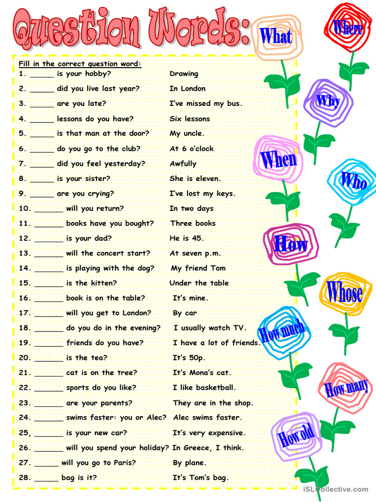 Question Words Practice Exercise | PDF