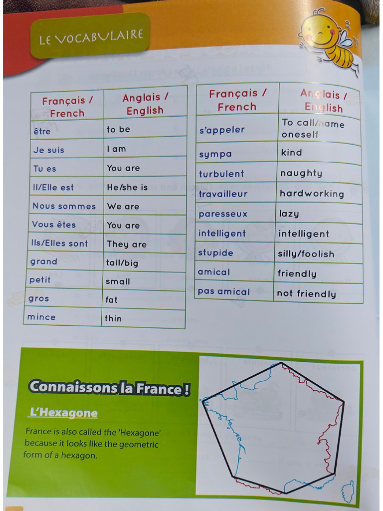 French Vocabulary - 3 | PDF