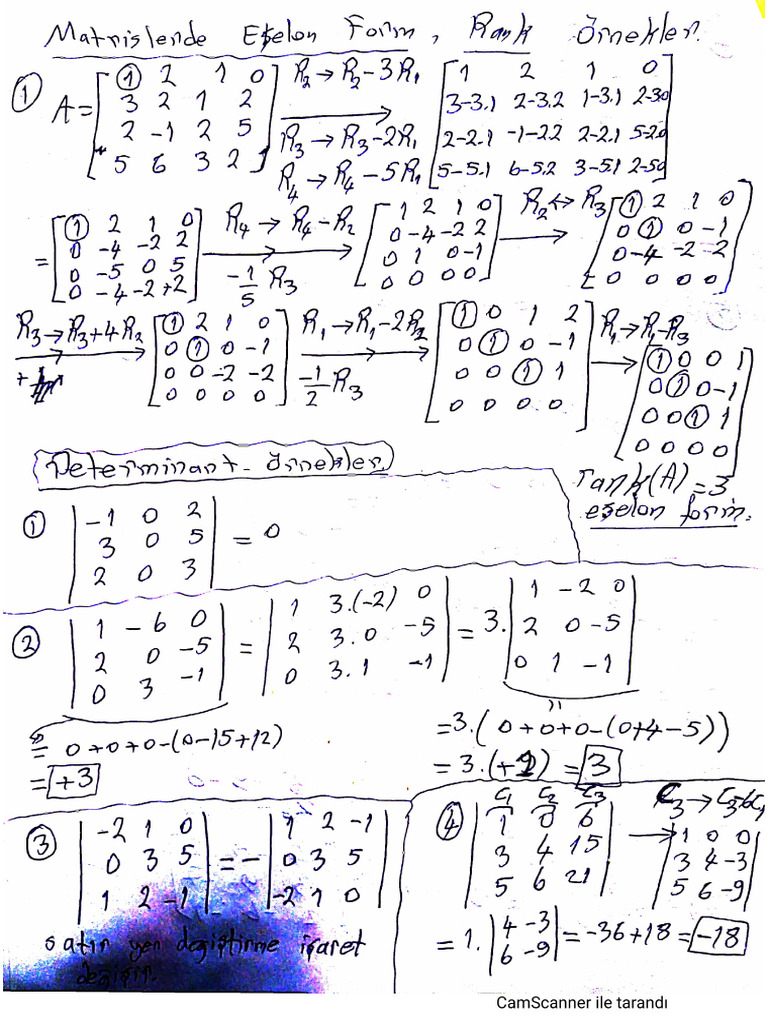 2-Echelon Matrix and Determinant Examples 2 | PDF