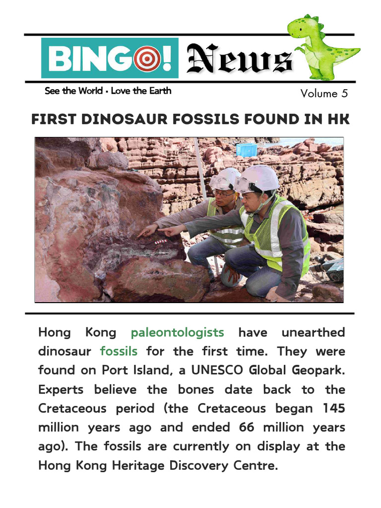 Bingo News 5 - Compressed | PDF | Dinosaurs | Fossil