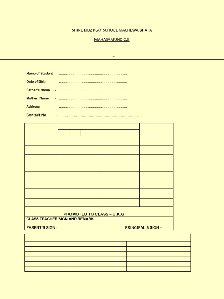 Shine Kidz Play School Progress Report | PDF