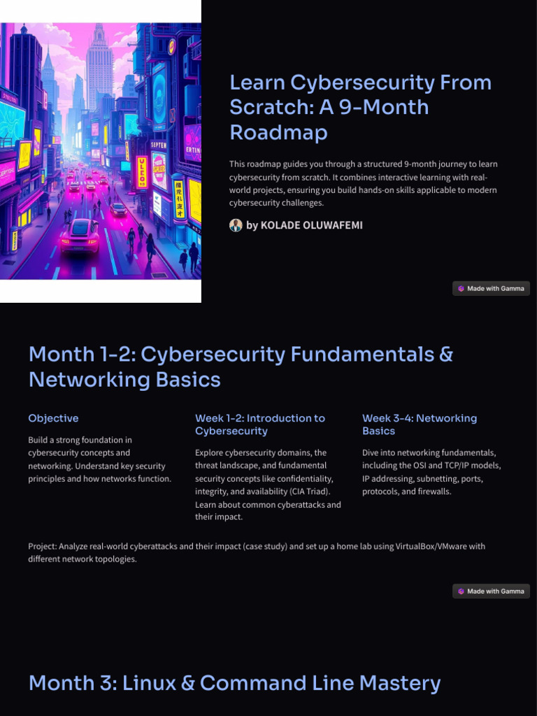 Learn-Cybersecurity-From-Scratch-A-9-Month-Roadmap | PDF | Security ...