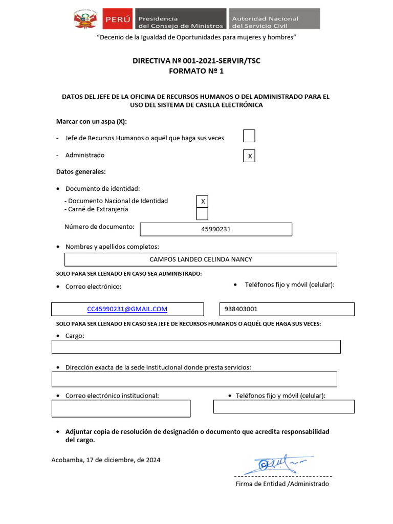 Formato #01 Acobamba 02 | PDF