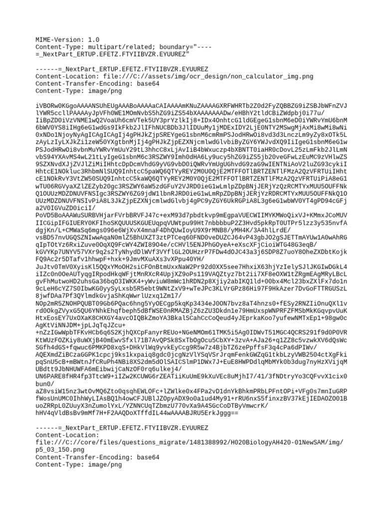 DNA Structure HW | PDF