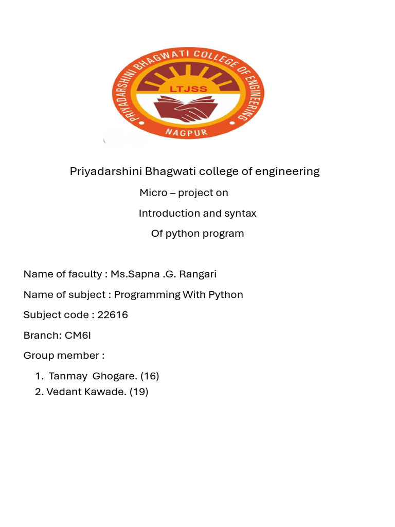 Python Programming Project Overview | PDF