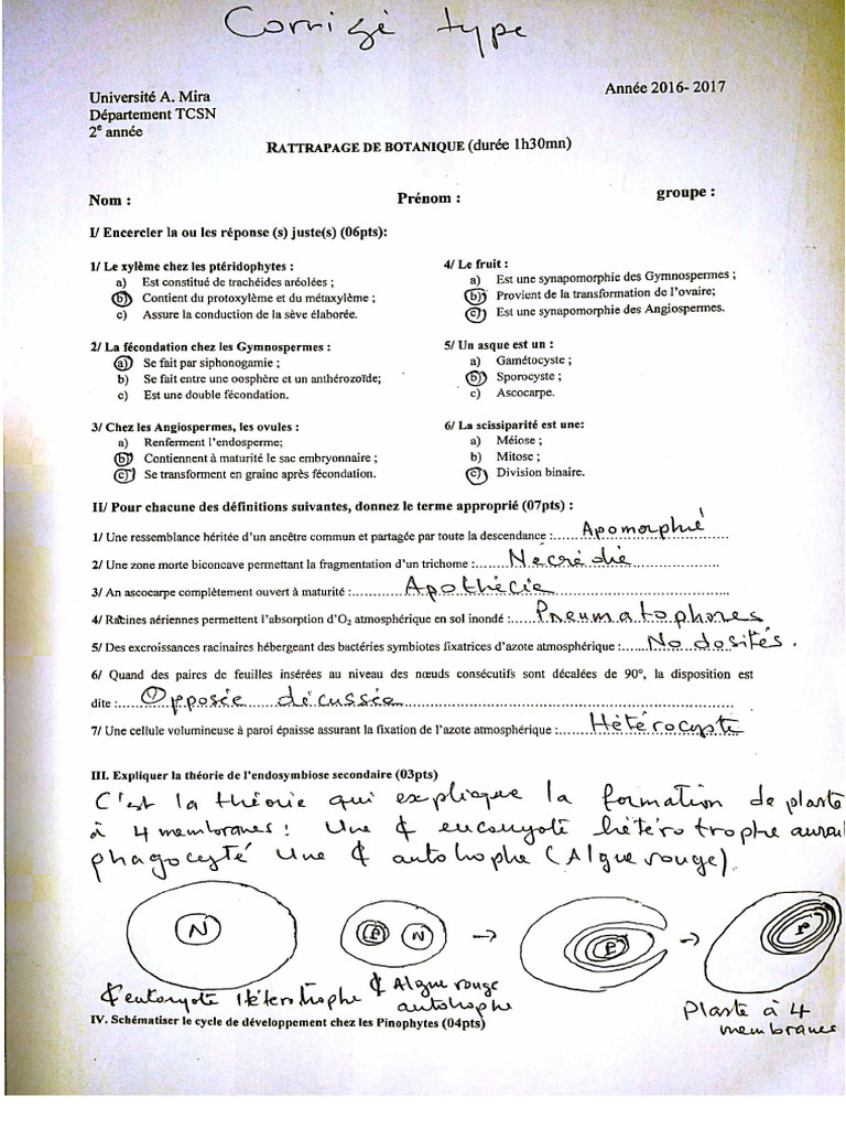 Examen2 Botanique PDF | PDF