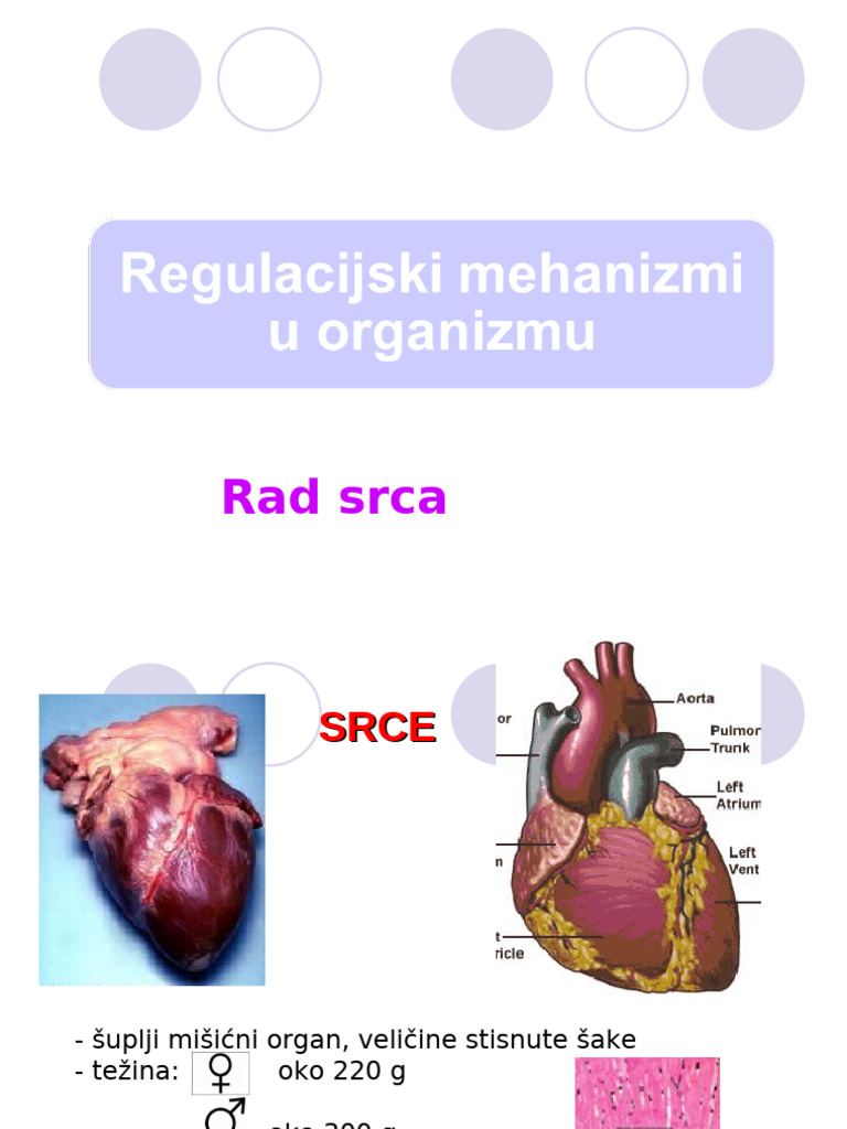 SRCE - rad 1 | PDF