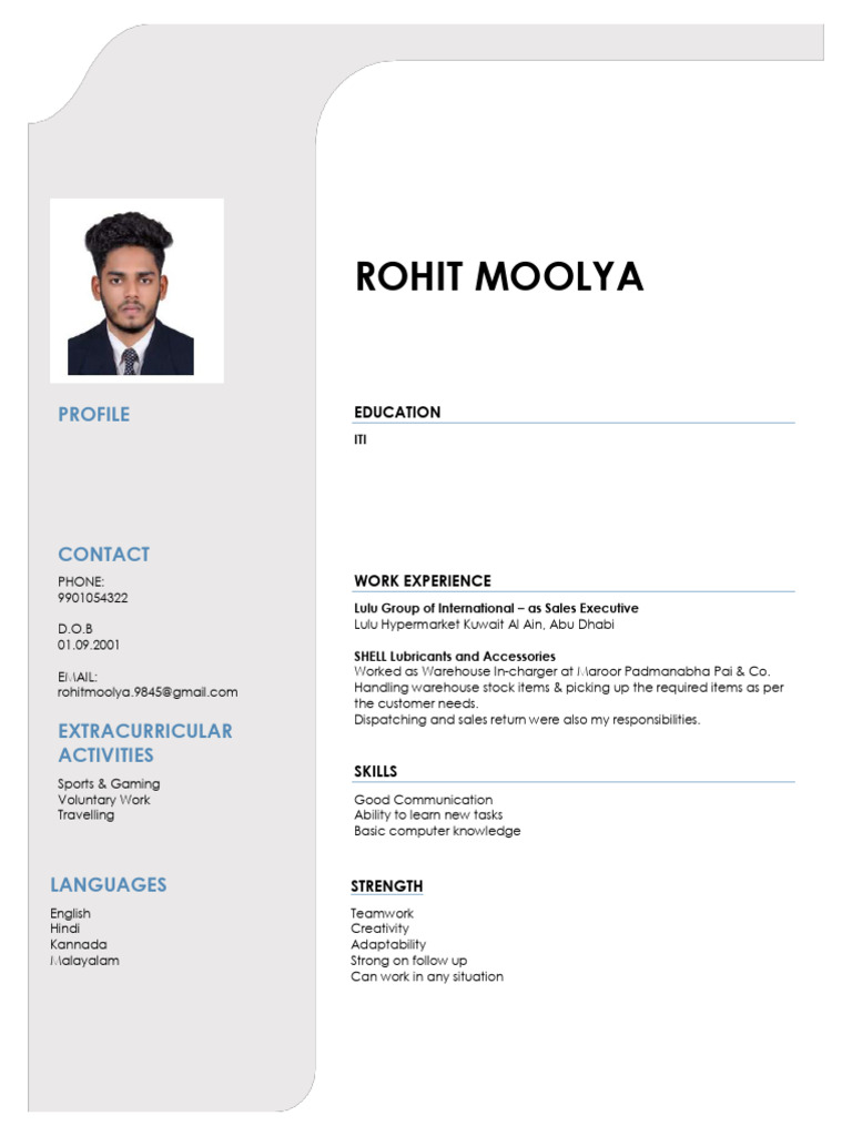 Rohit Resume | PDF