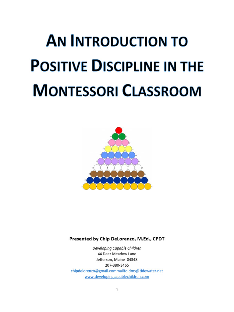 ChipDelorenzoHandout PDF | PDF | Learning | Social Psychology