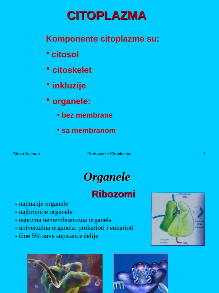 BC Citoplazma 221016 | PDF