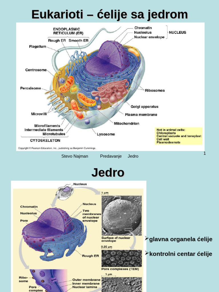 BC Jedro 221016 | PDF