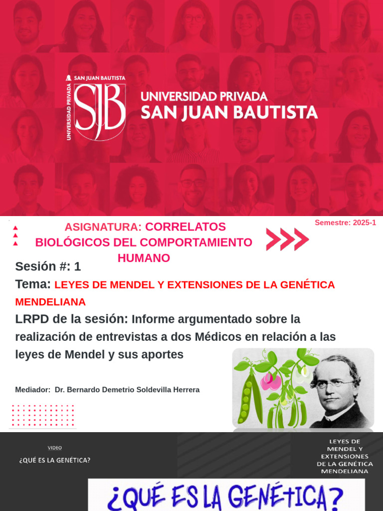 Leyes de Mendel y Genética Moderna | PDF | Genética | Biología