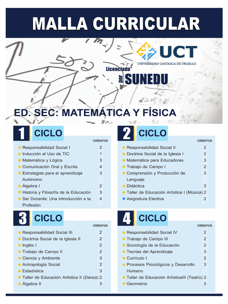4 Malla Curricular - Ed. Sec. Matemática y Física | PDF