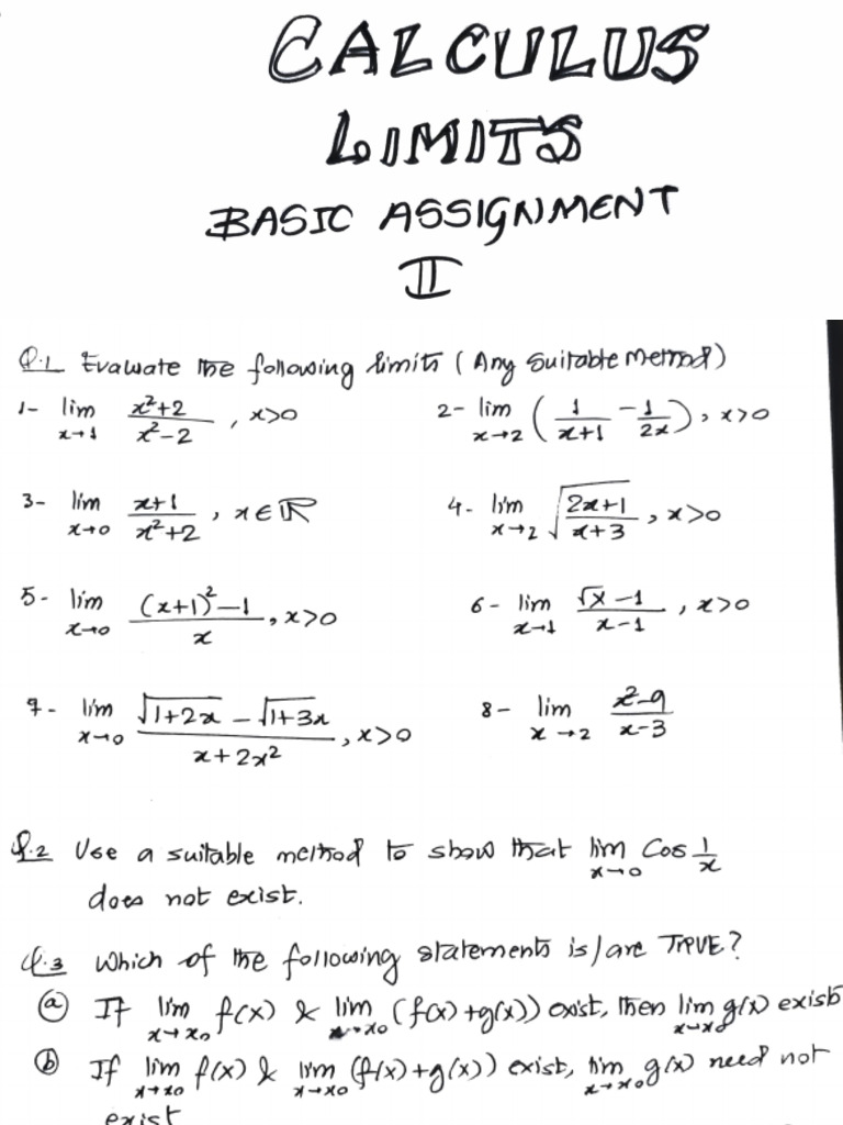 Limits Basic Assignment 2 | PDF