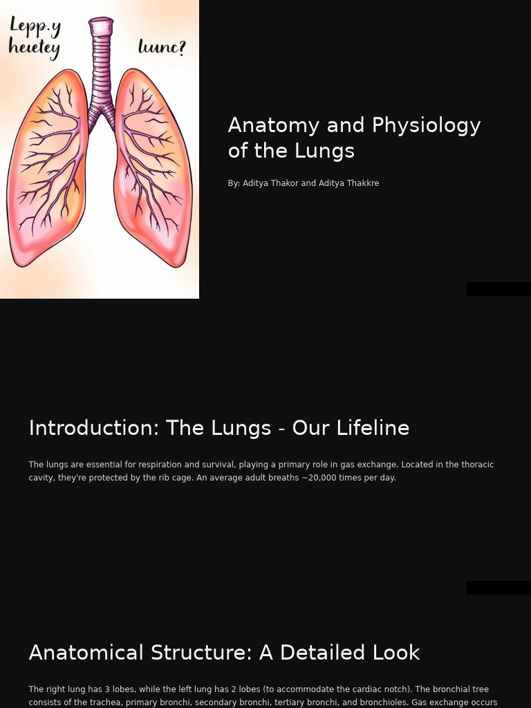 Anatomy and Physiology of The Lungs | PDF | Lung | Respiratory System
